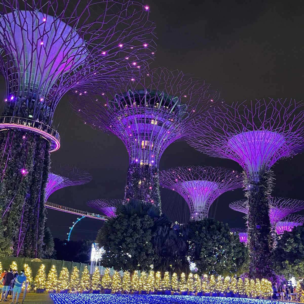 Bare Pane for iPhone Camera Bumps - Keep your phone's camera bump ...